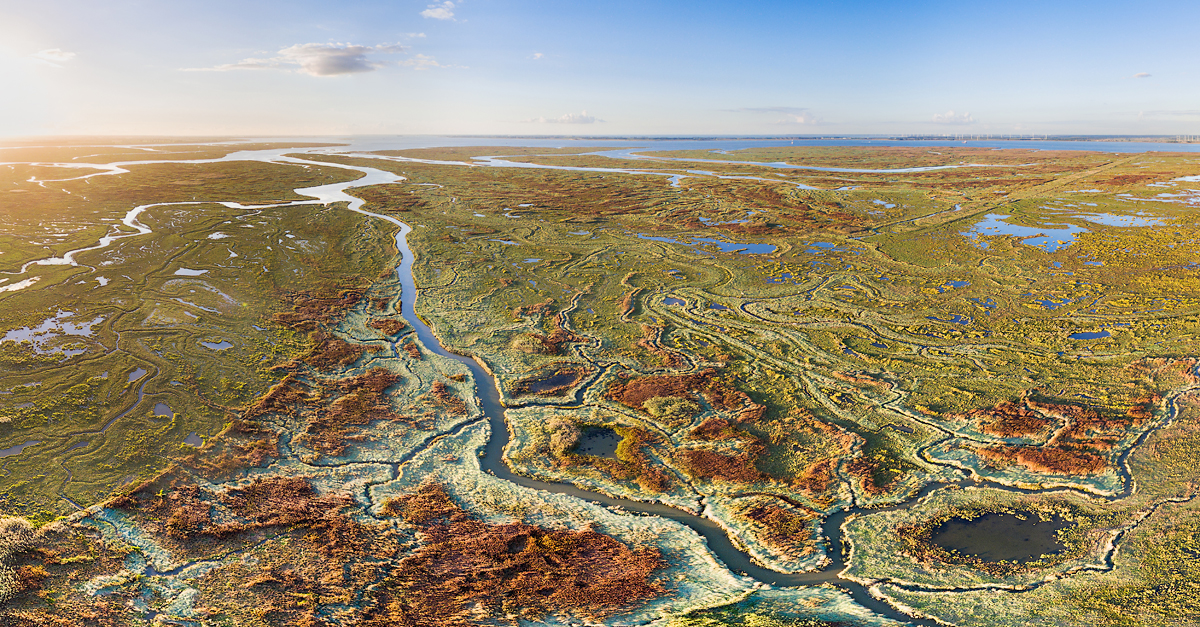 Paul Oostveen - Natuurfotograaf met een drone